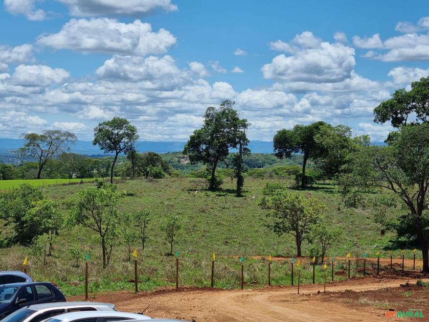 Alugue Para Plantar (1 A 2 Hectares!) A 1 Hora de Bh em Pedro 649860