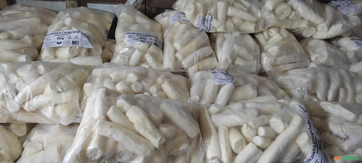 Mandioca Macaxeira Descascada em Recife PE à venda. Compre 659898