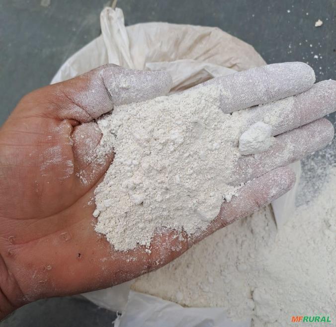 Caulim | Preço Venda Compra - MF Rural