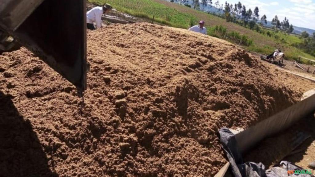 Bagaco Qualidade | Preço Venda Compra - MF Rural