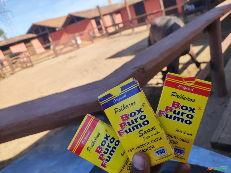 Box Puro Fumo em Sete Lagoas MG à venda. Compre direto 698768