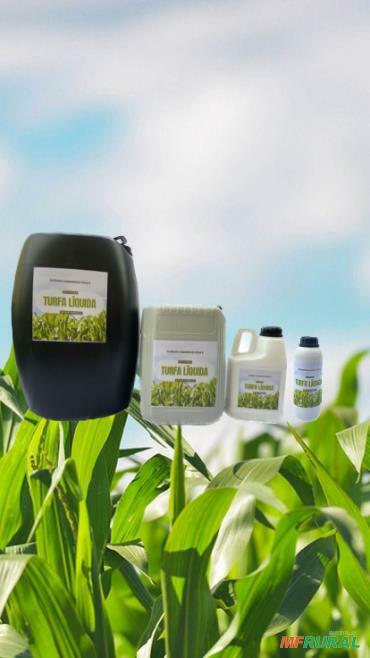 Turfa Fabrica | Preço Venda Compra - MF Rural