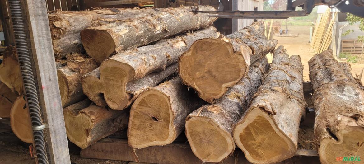 Teca 20 Anos em Bragança Paulista SP à venda. Compre direto 857256