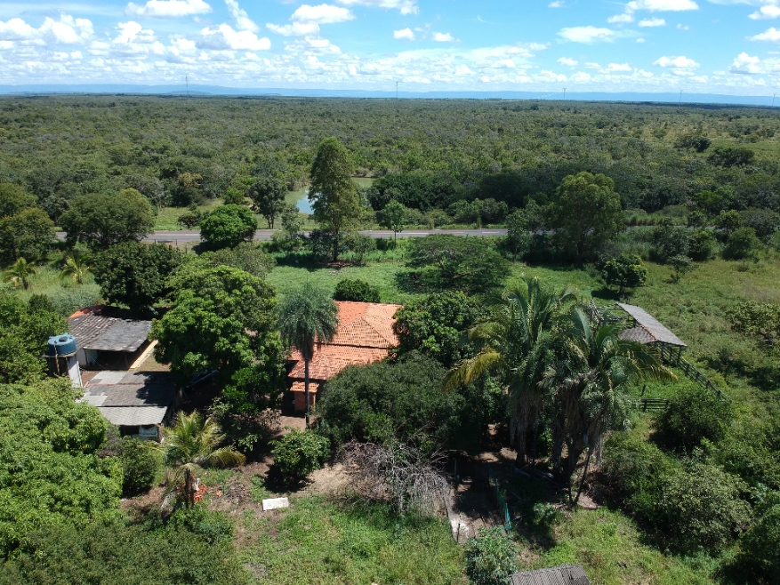 Fazenda em Go 114, Flores de Goias - Go em Flores de Goiás GO à 667591