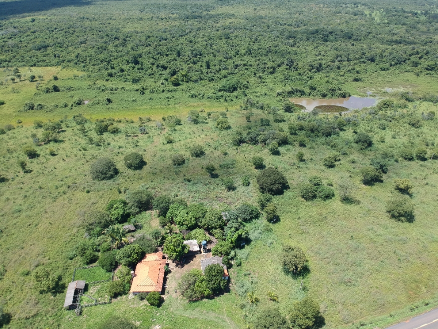 Fazendas / Imóveis Rurais em Flores de Goiás - GO à venda com