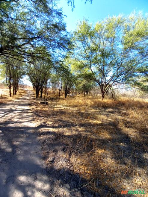 Propriedade Rural em Matias Cardoso MG à venda. Compre direto 668473