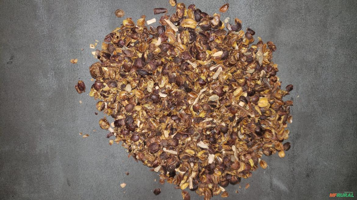 Palha de Café em Patrocínio MG à venda. Compre direto do vendedor 668548