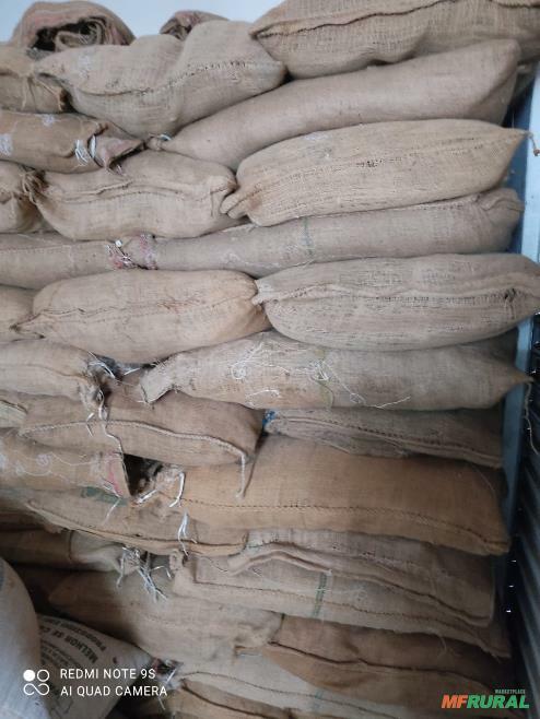 Sacas Juta | Preço Venda Compra - MF Rural