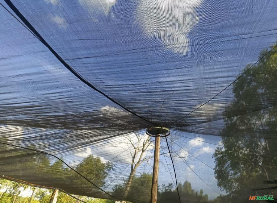 Tela Cacamba | Preço Venda Compra - MF Rural