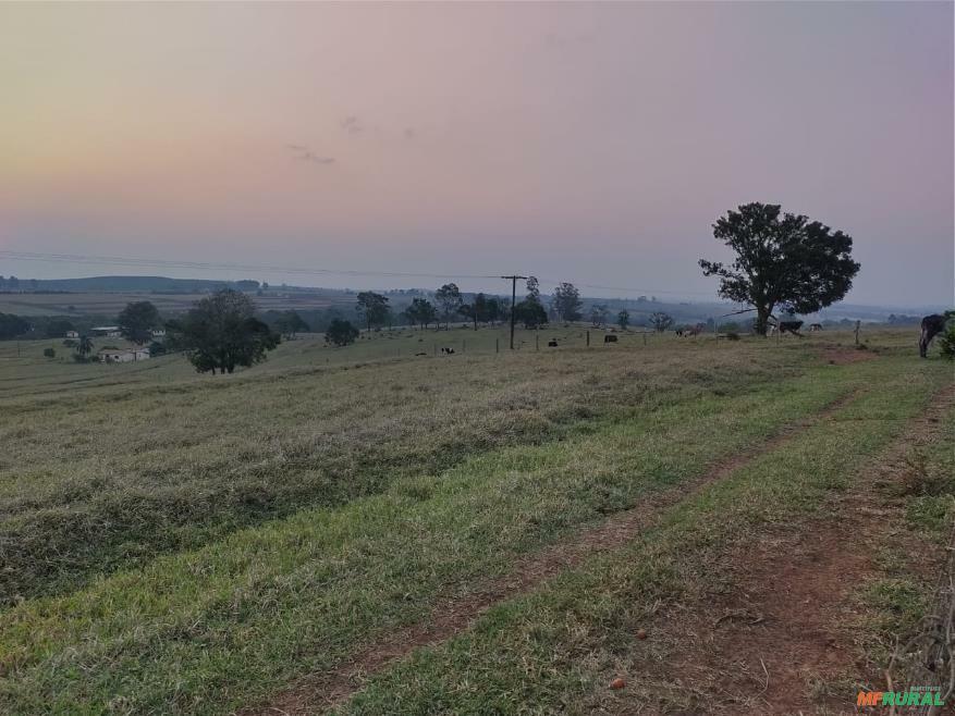 Caminhao 162 | Preço Venda Compra - MF Rural