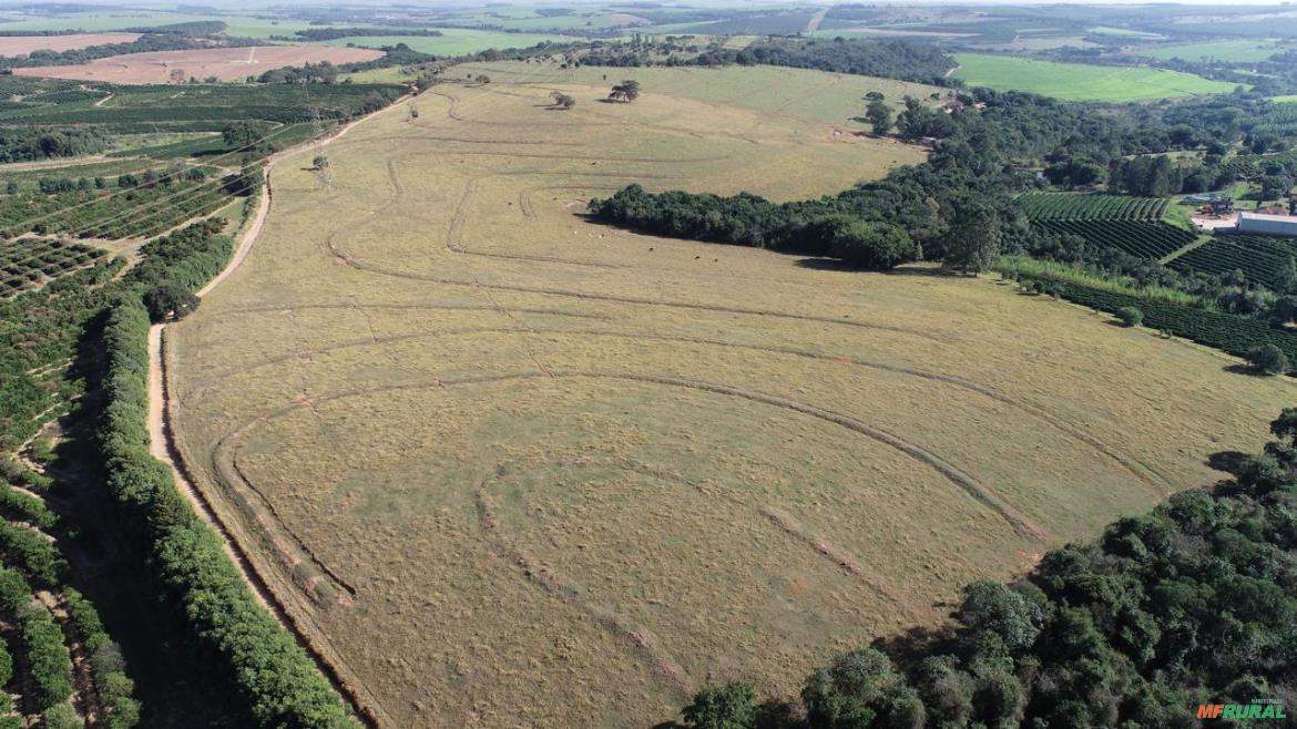 Fazenda em Pratânia-Sp em Pratânia SP à venda. Compre direto 806493