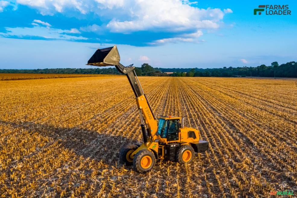 Carregador Loader | Preço Venda Compra - MF Rural