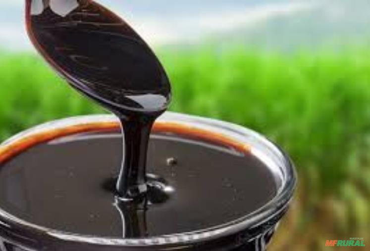 Melaço de Cana em Charqueada SP à venda. Compre direto 687387