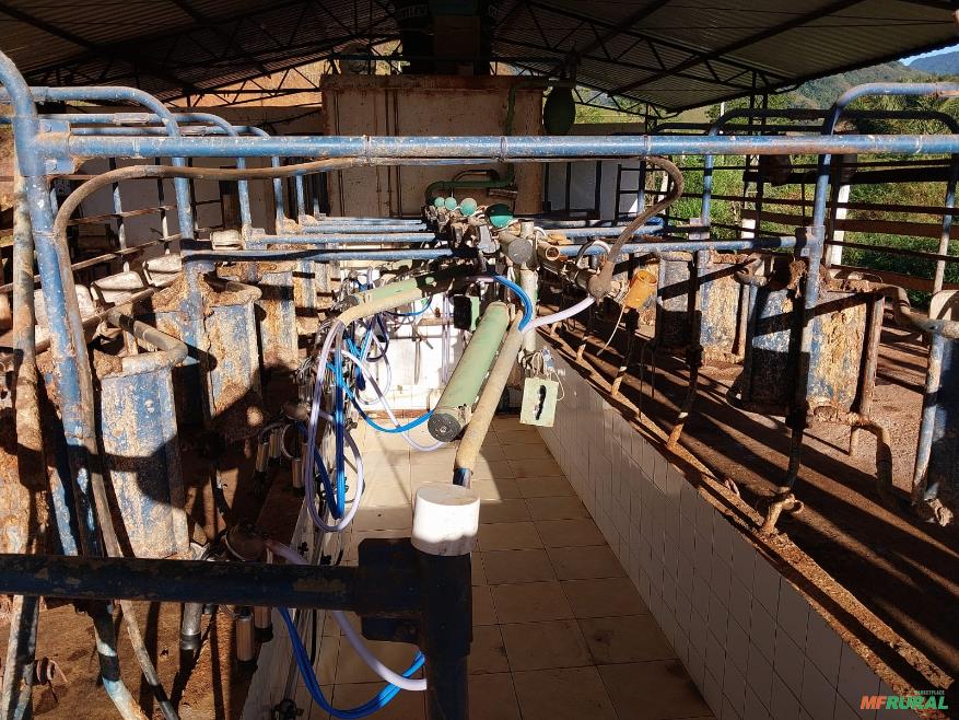 Ordenhadeira em Rio de Janeiro RJ à venda. Compre direto 692445