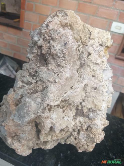 Pedra de Paládio Rara Já Documentada em Ribeirão Preto SP à 692070