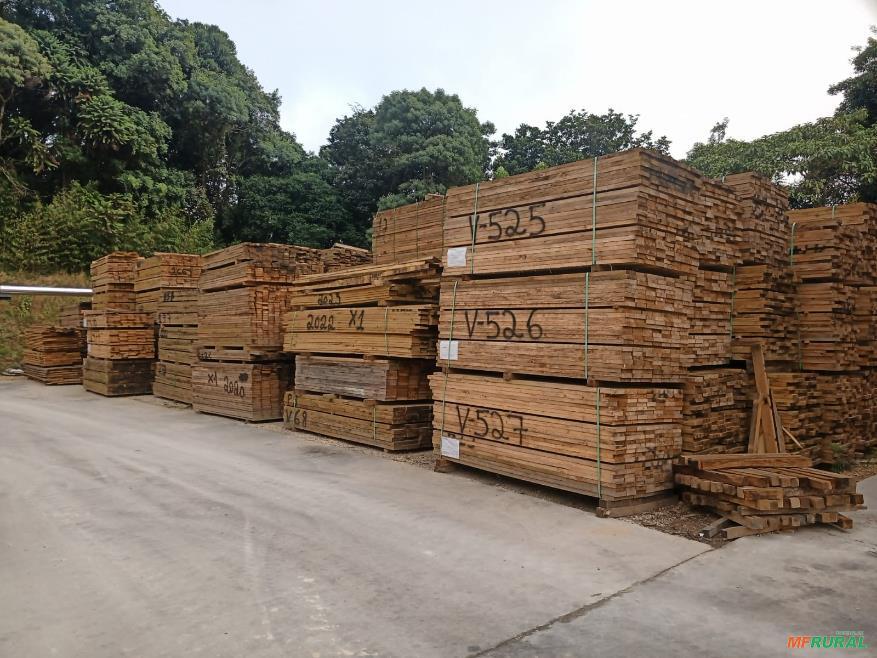 Madeira Pinus | Preço Venda Compra - MF Rural