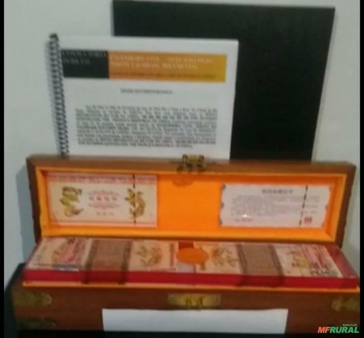 Yellow Dragons | Preço Venda Compra - MF Rural