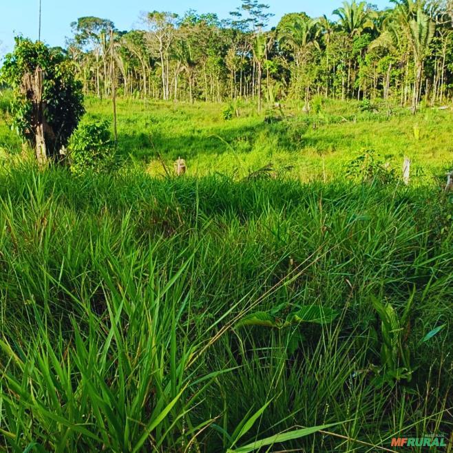 Área de Fazenda em Humaitá/Am de 1500 Hectares em Humaitá AM à 694634