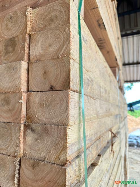 Eucalipto Disponiveis em Minas Gerais | Preço Venda Compra