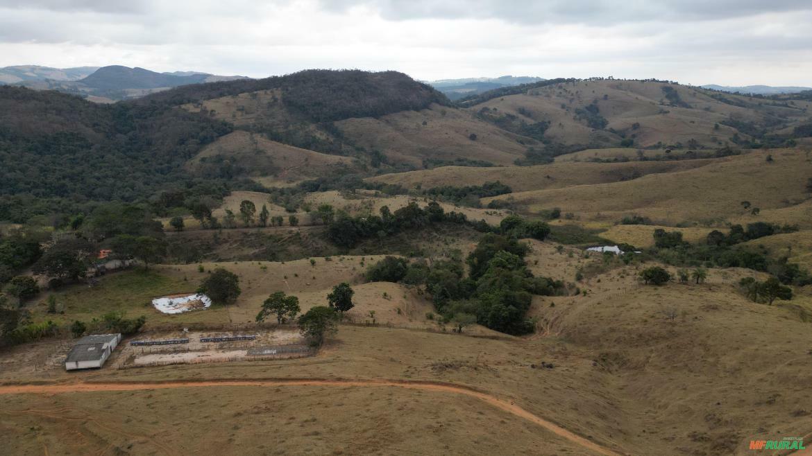 Fazendas / Imóveis Rurais em Santana do Jacaré - MG à venda com