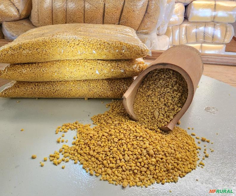 Farinha de Mandioca Puba-Do Pará em São Gotardo MG à venda. 702451