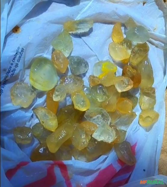 Berilos Heliodoro, Morganita, Goshenita em Pocrane MG à venda. 703773