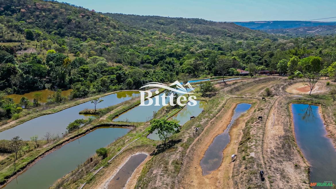 Fazenda Com 219 Hectares em Luziânia, Goiás - Go em Luziânia GO 713567