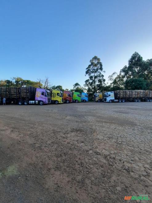 Bitrem à venda com preço Bitrem