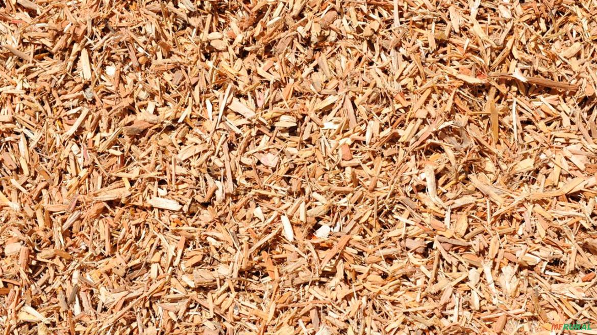 Cavaco Reciclado em Ribeirão Preto SP à venda. Compre direto 721236