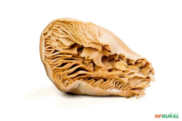 Omasun Omassun | Preço Venda Compra - MF Rural