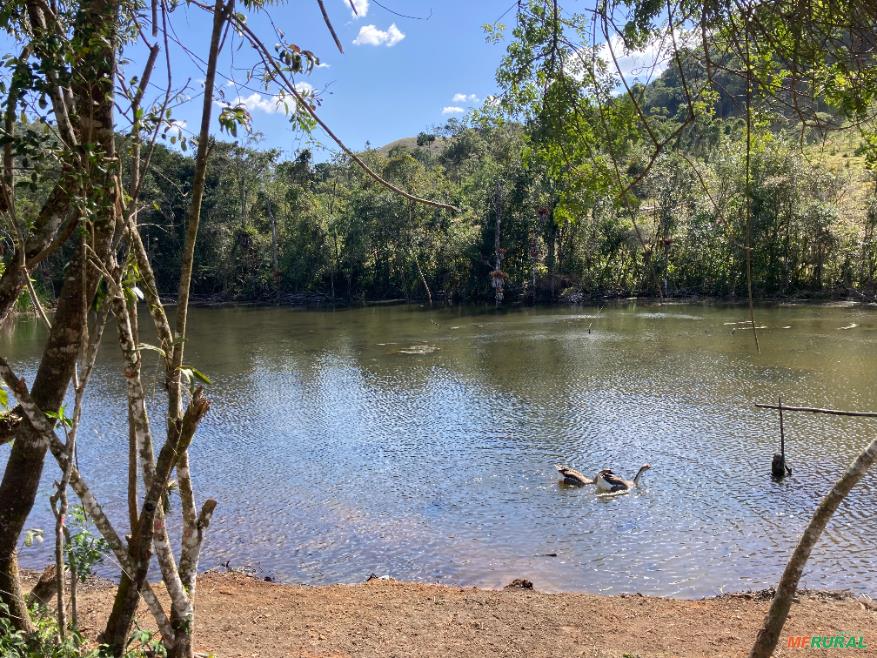 Sítio Com 27 Hectares em Mg em Desterro do Melo MG à venda. 735845