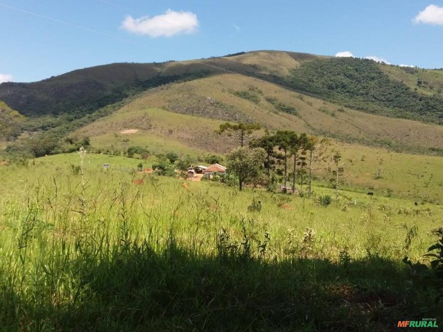 Vendo 60 Mil Metros de Serra em Andrelândia MG à venda. Compre 735852