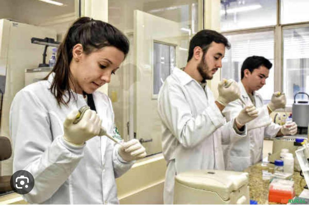 Nstituicao Ensino Stone ip S.A | Preço Venda Compra - MF Rural