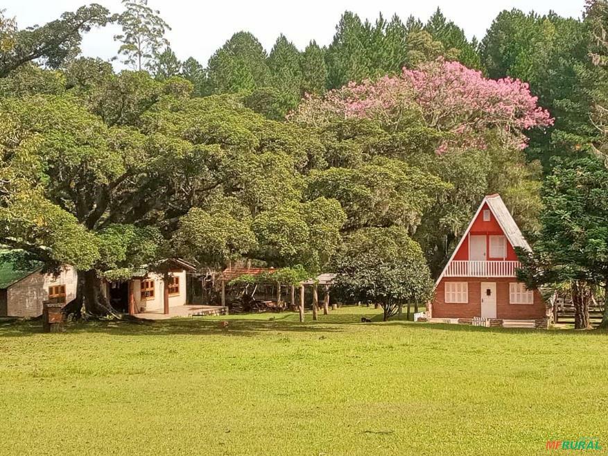 Sítios em Fazendas / Imóveis Rurais em Mariana Pimentel - RS à