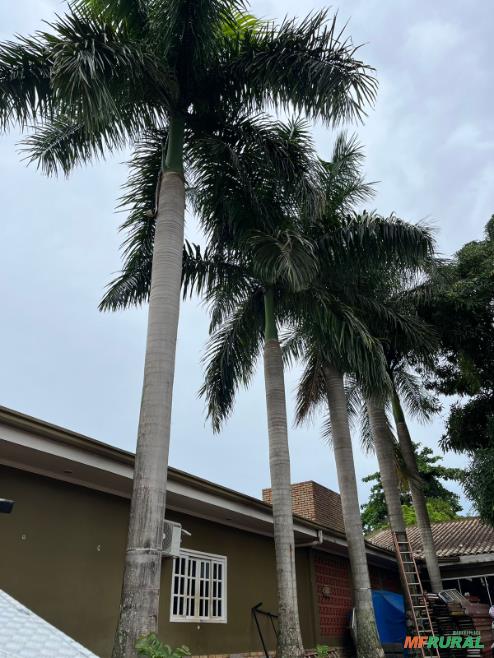 A First Course Graph Theory Gary Chartrand And Ping Zhang