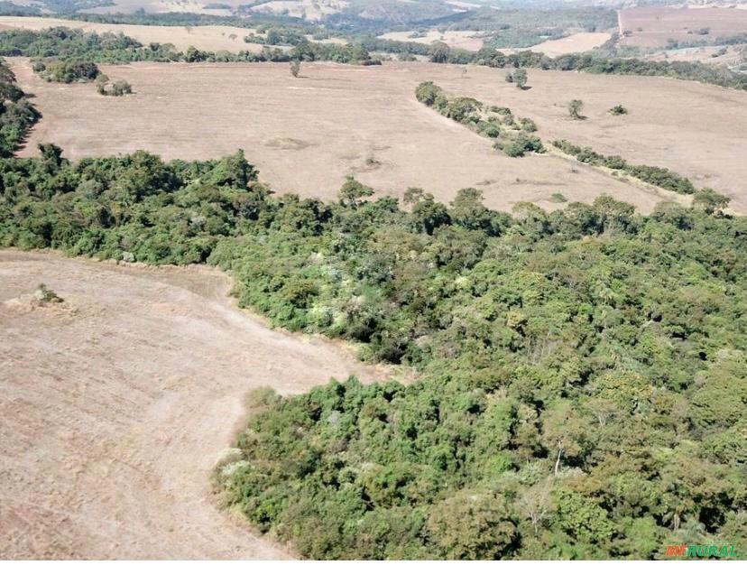 Propriedade Rural em Bela Vista de Goiás GO à venda. Compre 779540