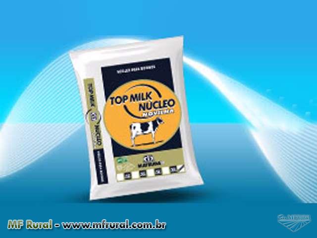 Top Milk Núcleo Novilha - Matsuda em Álvares Machado SP à venda. 250389