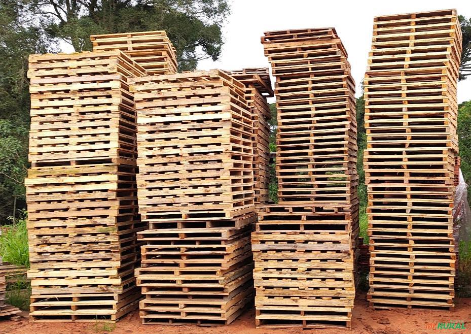Palett/Palete de Madeira Pinus em Mandirituba PR à venda. Compre 780176