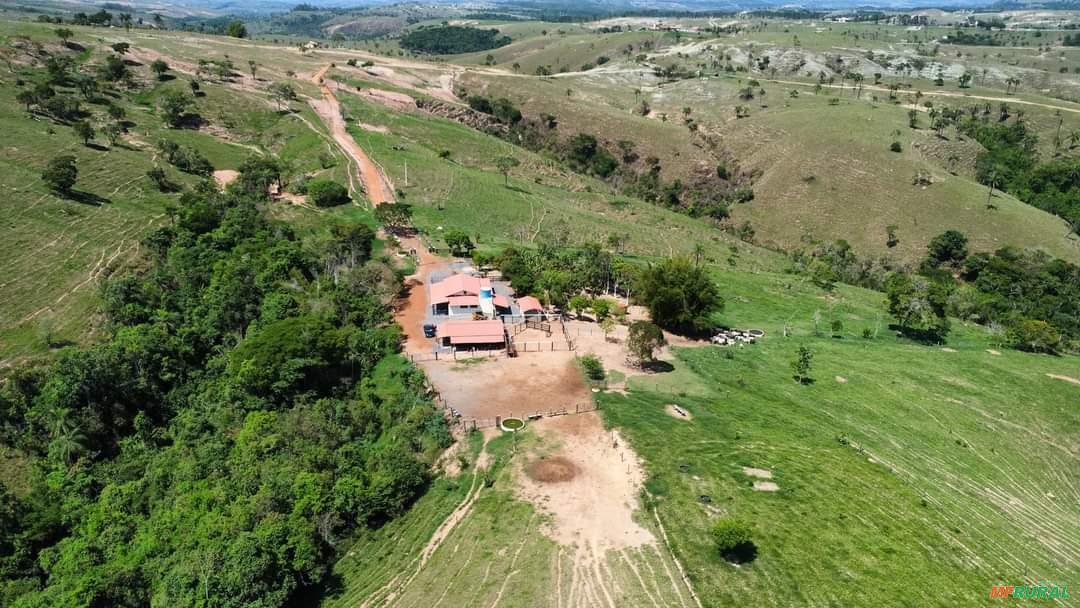 Fazenda Com 60 Hectares em São Gotardo-Mg em São Gotardo MG à 783774