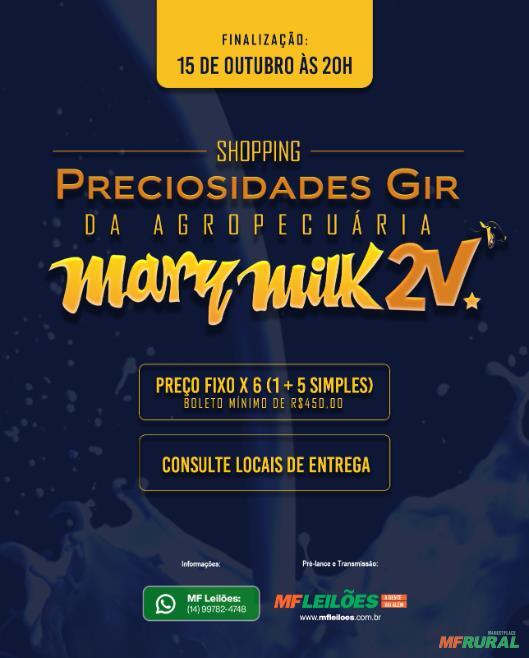 Shopping Preciosidades Gir Agropecuaria Mary Milk 2 V em Rio 820895