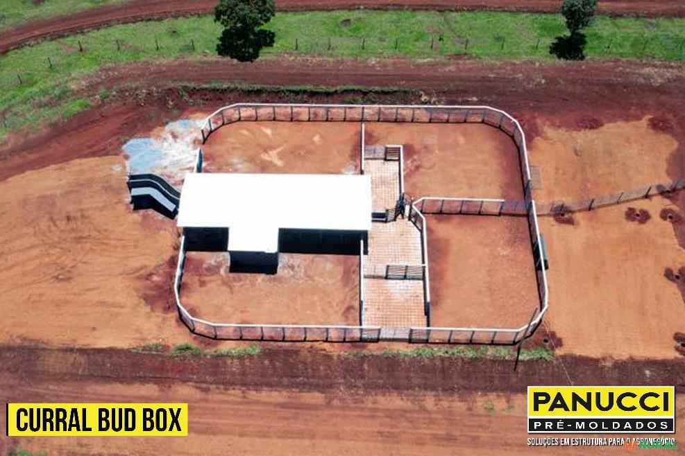 Bud | Preço Venda Compra - MF Rural