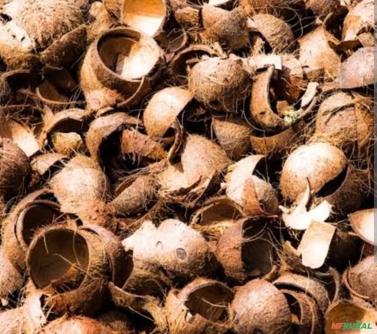 Silagem Disponivel - Fertilizantes Agrícolas | Preço Venda Compra