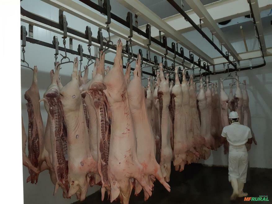Frigorifico Abate de Suinos em Mg em Glaucilândia MG à venda. 793353