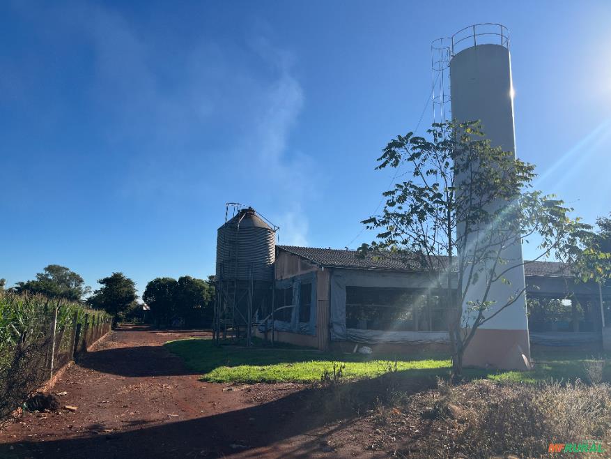 Retalho Suino - Fazendas / Imóveis Rurais | Preço Venda Compra