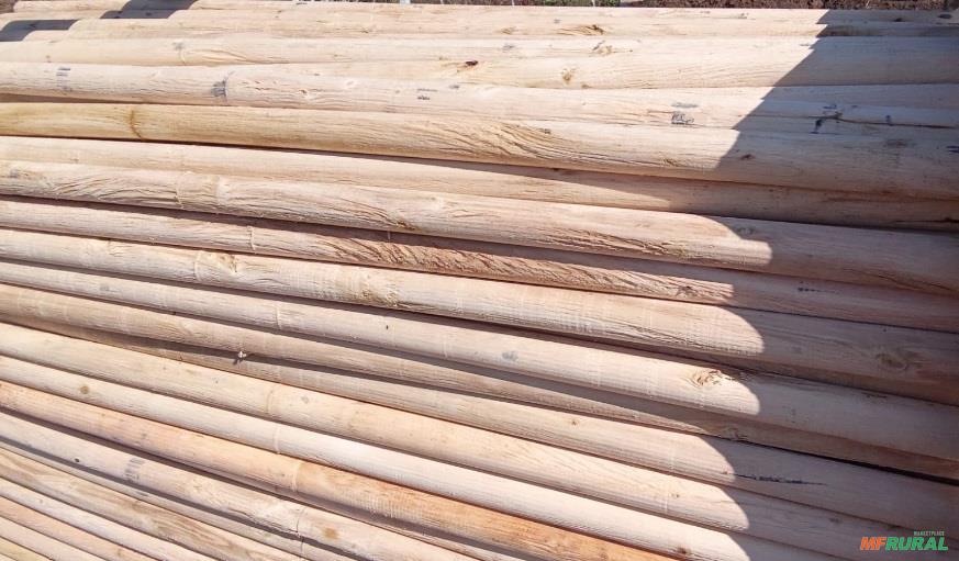 Madeira - Pinus E Eucalipto em Ponta Grossa PR à venda. Compre 796826