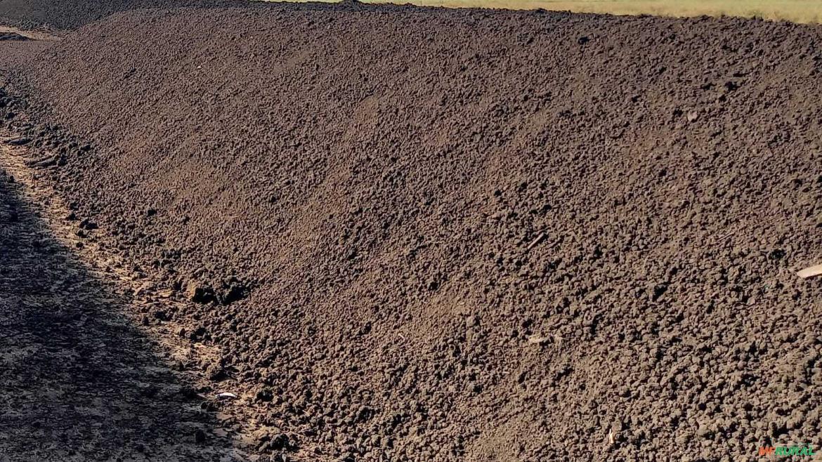 Esterco de Galinha Poedeira 100% Puro em Goiás GO à venda. 797246