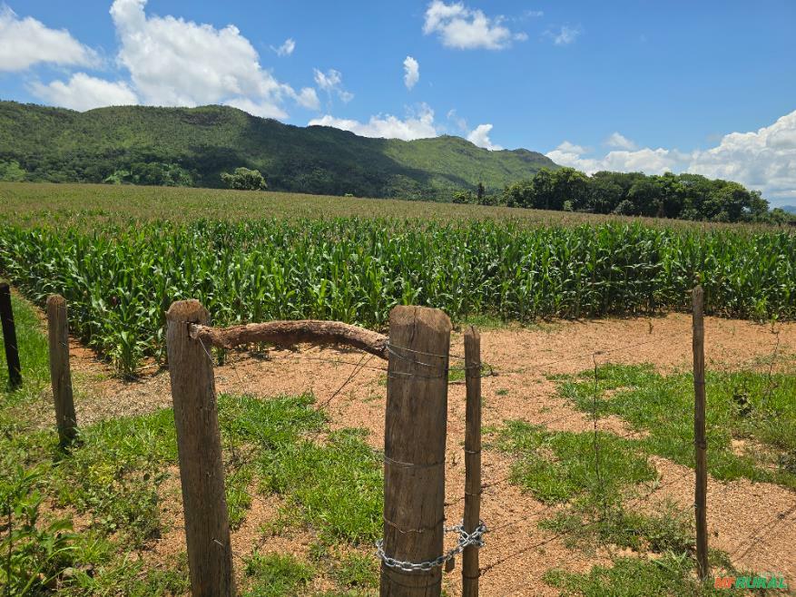 Serra em Minas Gerais - Fazendas / Imóveis Rurais | Preço Venda