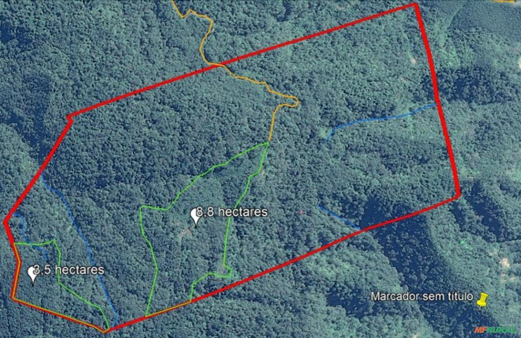 Nativa Hectares | Preço Venda Compra - MF Rural