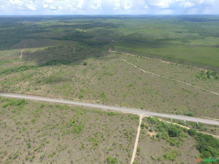 Fazenda Com 190 Hectares em Ferreira Gomes Ap em Ferreira Gomes 807641