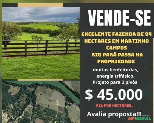 Fazenda de 94 Hectares em Martinho Campos/Mg em Martinho Campos 809710